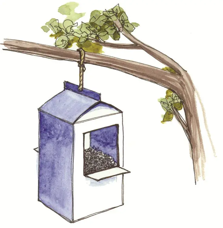 Waste Management Crafts for Kids | County of Peterborough